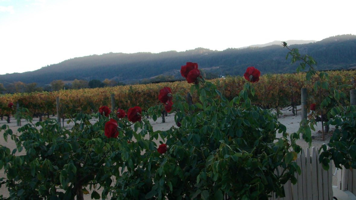 Once upon a time… the Mondavi family - Chiara Giorleo