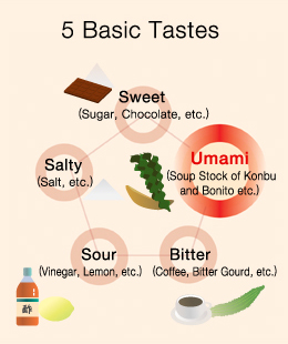 Umami: the fifth sense - Chiara Giorleo