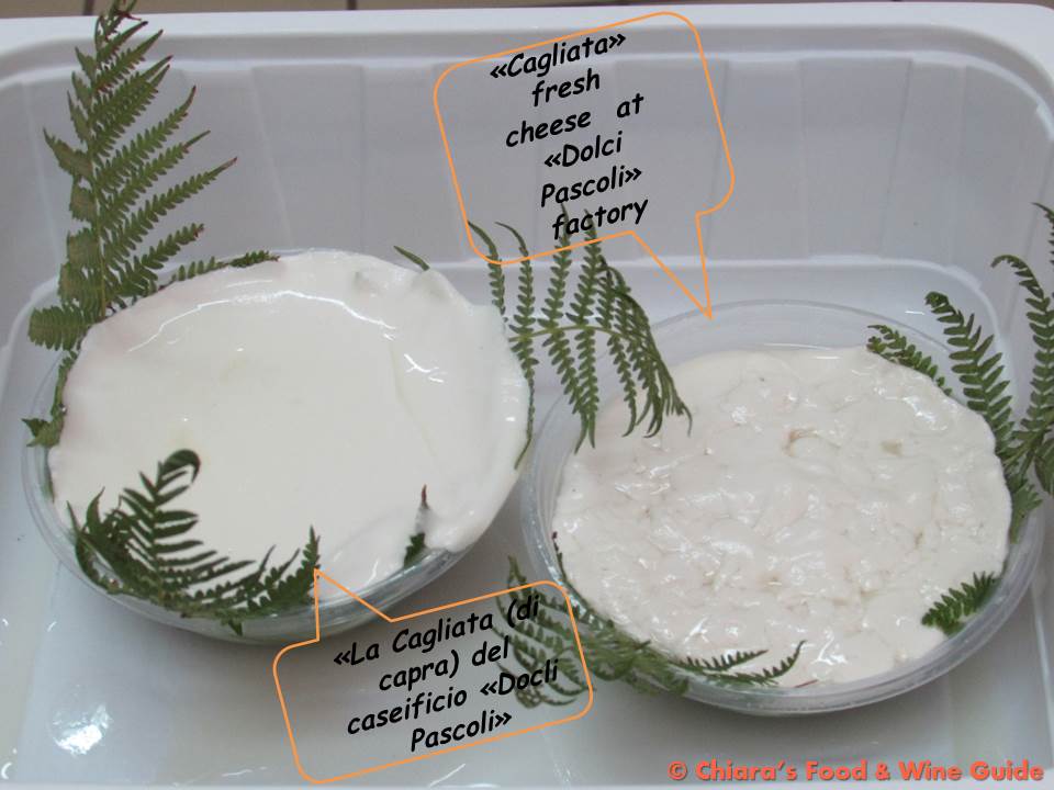 A challenge for Pollino National Park, Calabria region-southern Italy ...