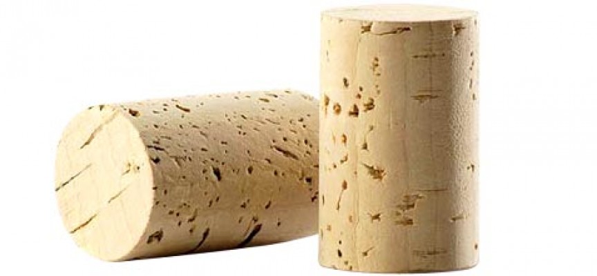 cork - Chiara Giorleo