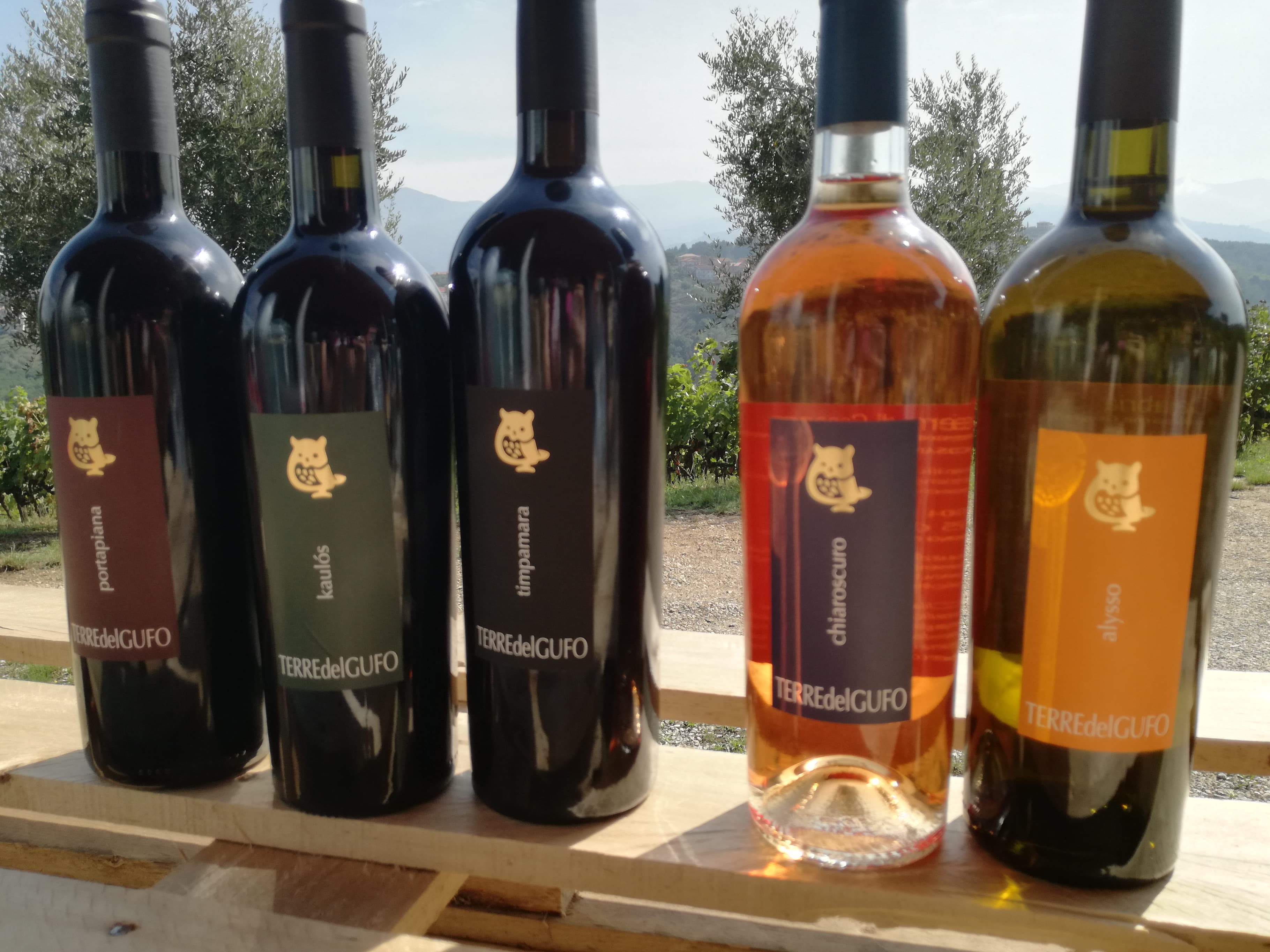 A wine tour in the north of Calabria region (southern Italy) - Chiara ...