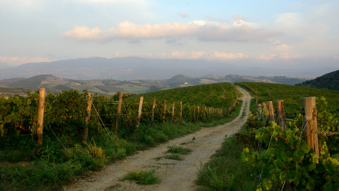 Montecucco: the tasting of a little gem in Tuscany, central Italy ...