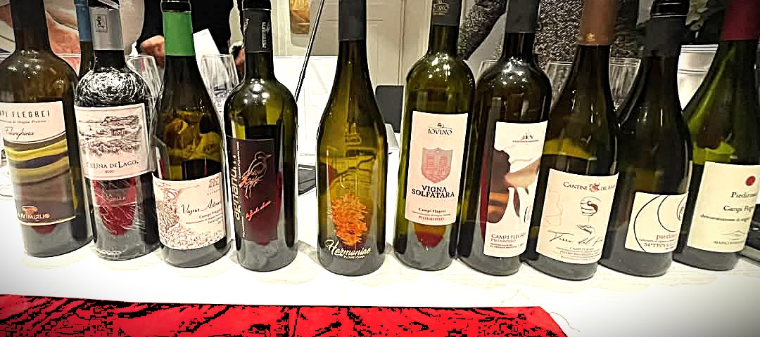 Past, present and future of Flegrei wines, Napoli (Southern Italy) - Chiara Giorleo